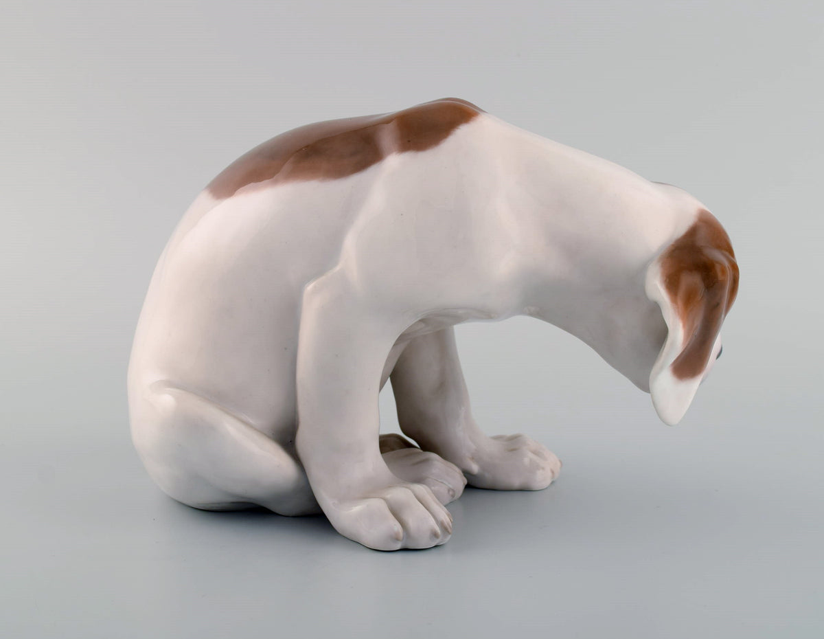 Rare Royal Copenhagen porcelain figurine. Labrador puppy. Model number ...